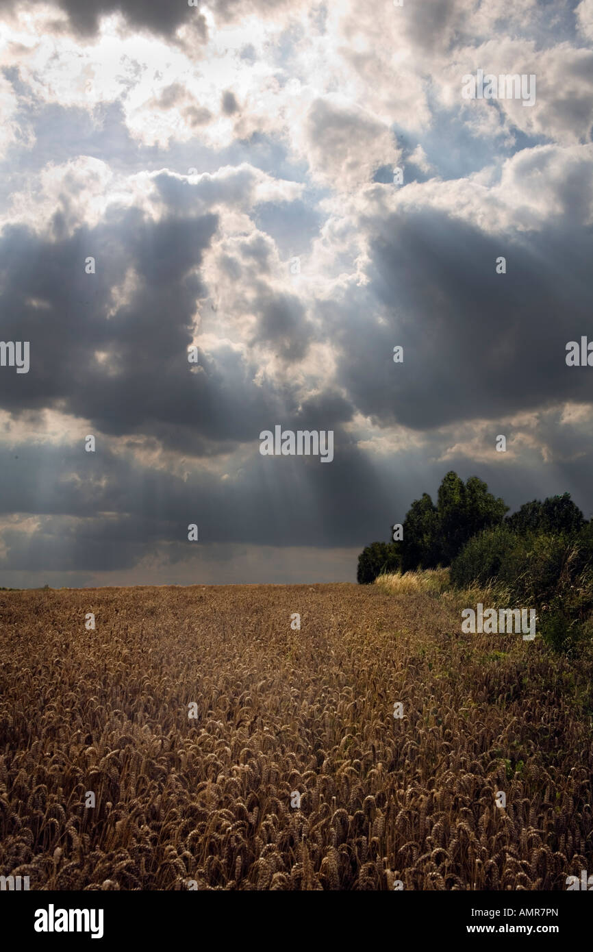 Clouds and sun beams hi-res stock photography and images - Alamy