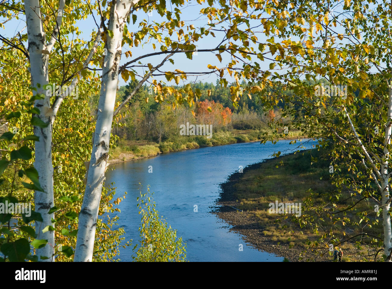 Miramichi River in early fall colours Stock Photo - Alamy