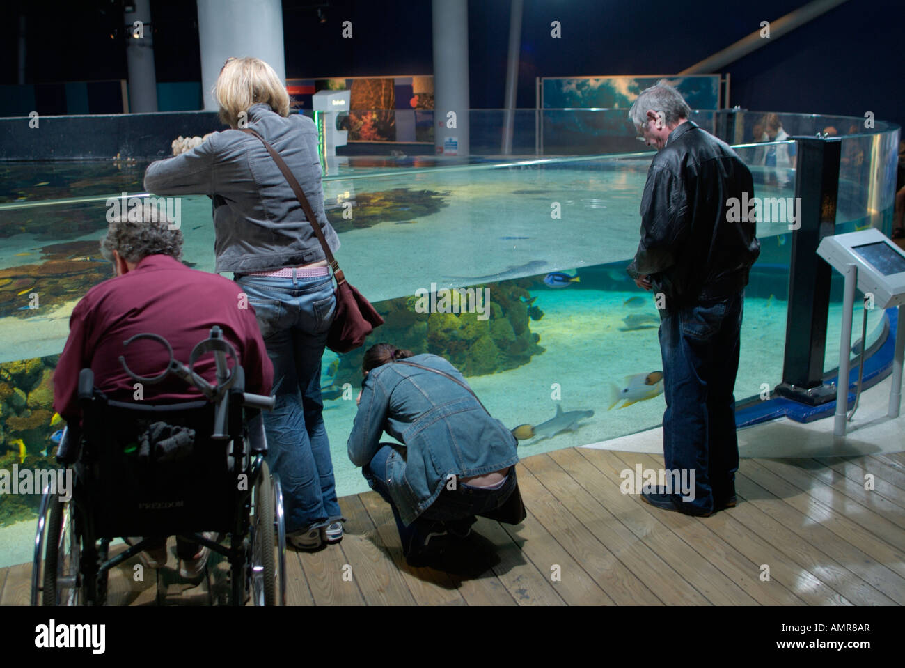 The deep aquarium Hull Stock Photo - Alamy