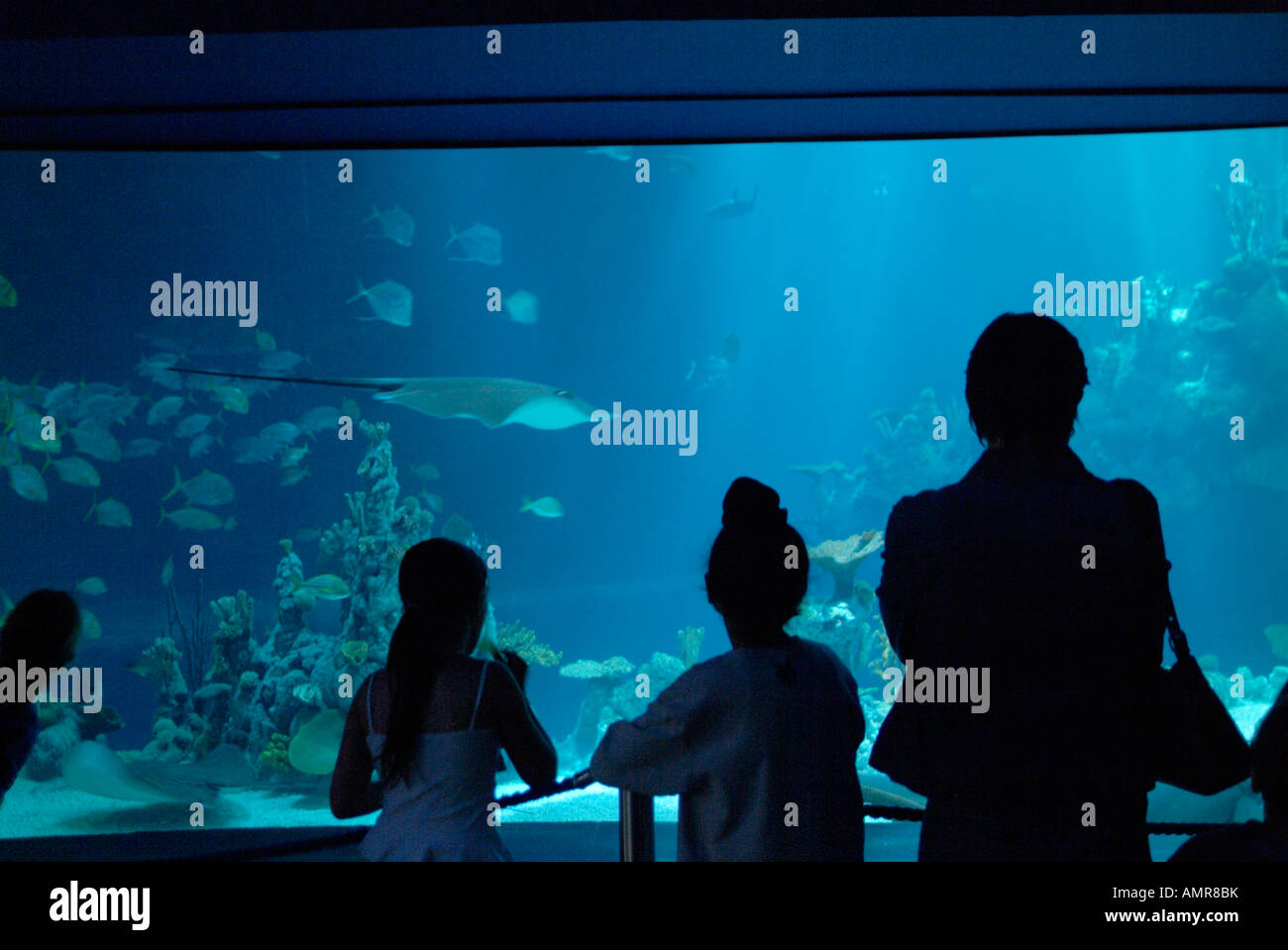 The Deep Aquarium Hull Stock Photo - Alamy