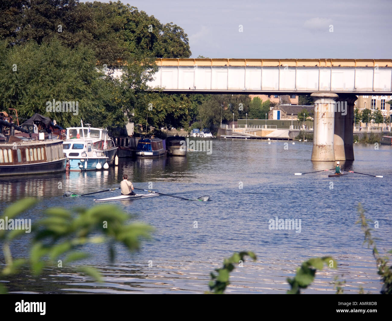 Racing Scull on the River Thames, Staines Middlesex, England, UK, row ...