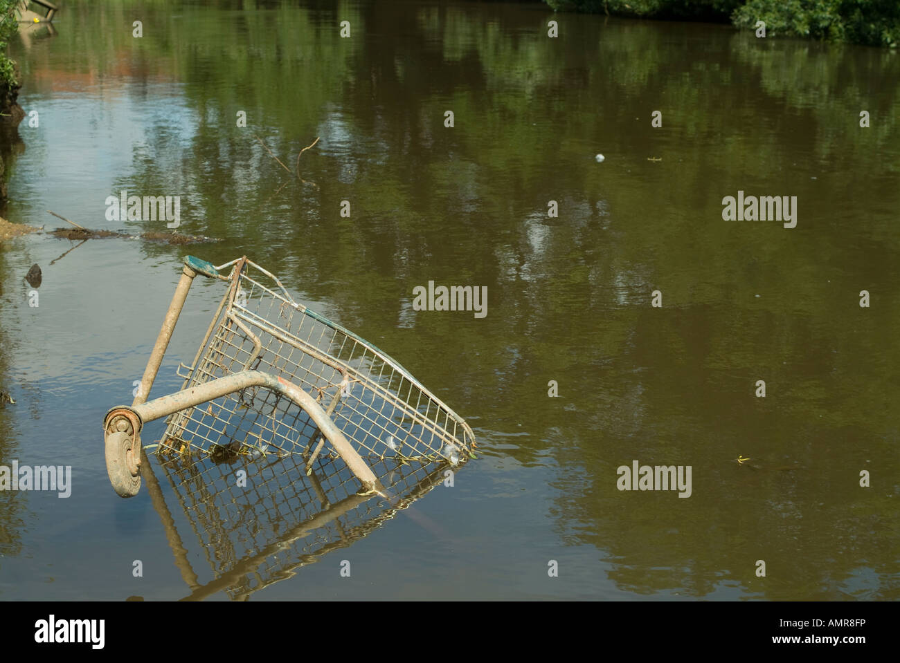 Abandoned shopping trolley dumped in the River Derwent at malton North ...