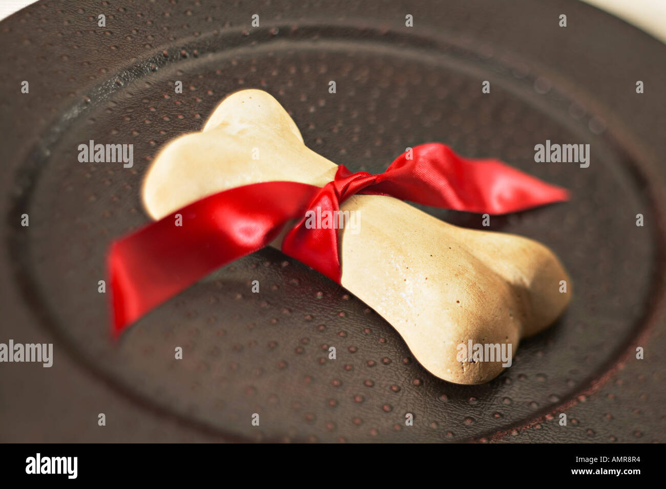 Dog bone ribbon hi-res stock photography and images - Alamy