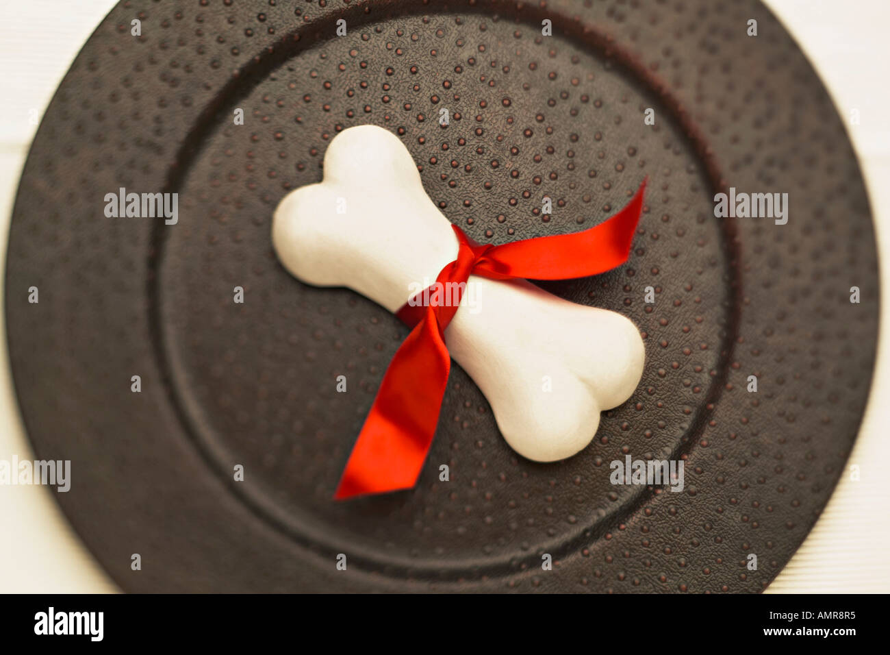 Dog bone ribbon hi-res stock photography and images - Alamy