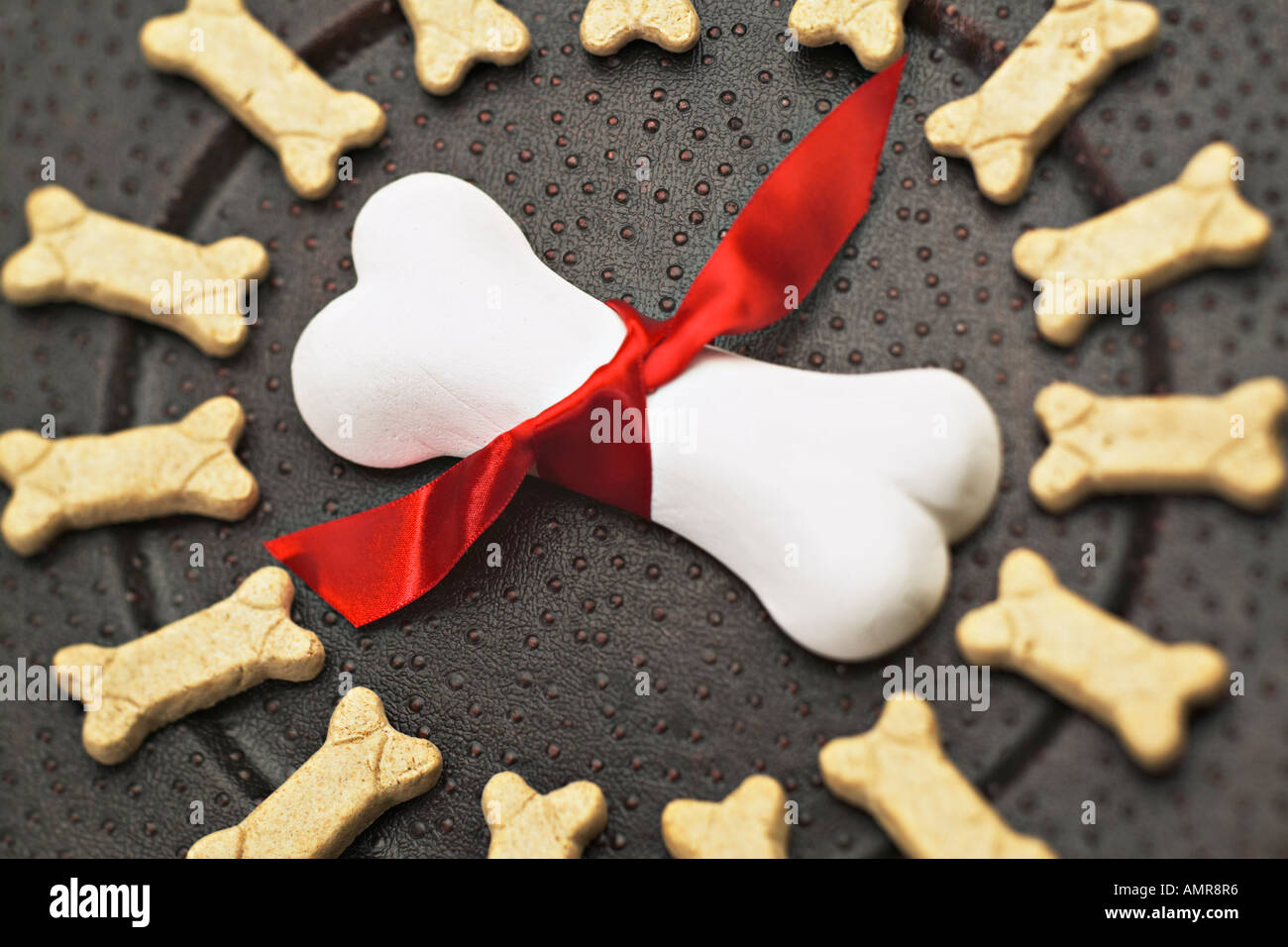 Dog bone ribbon hi-res stock photography and images - Alamy