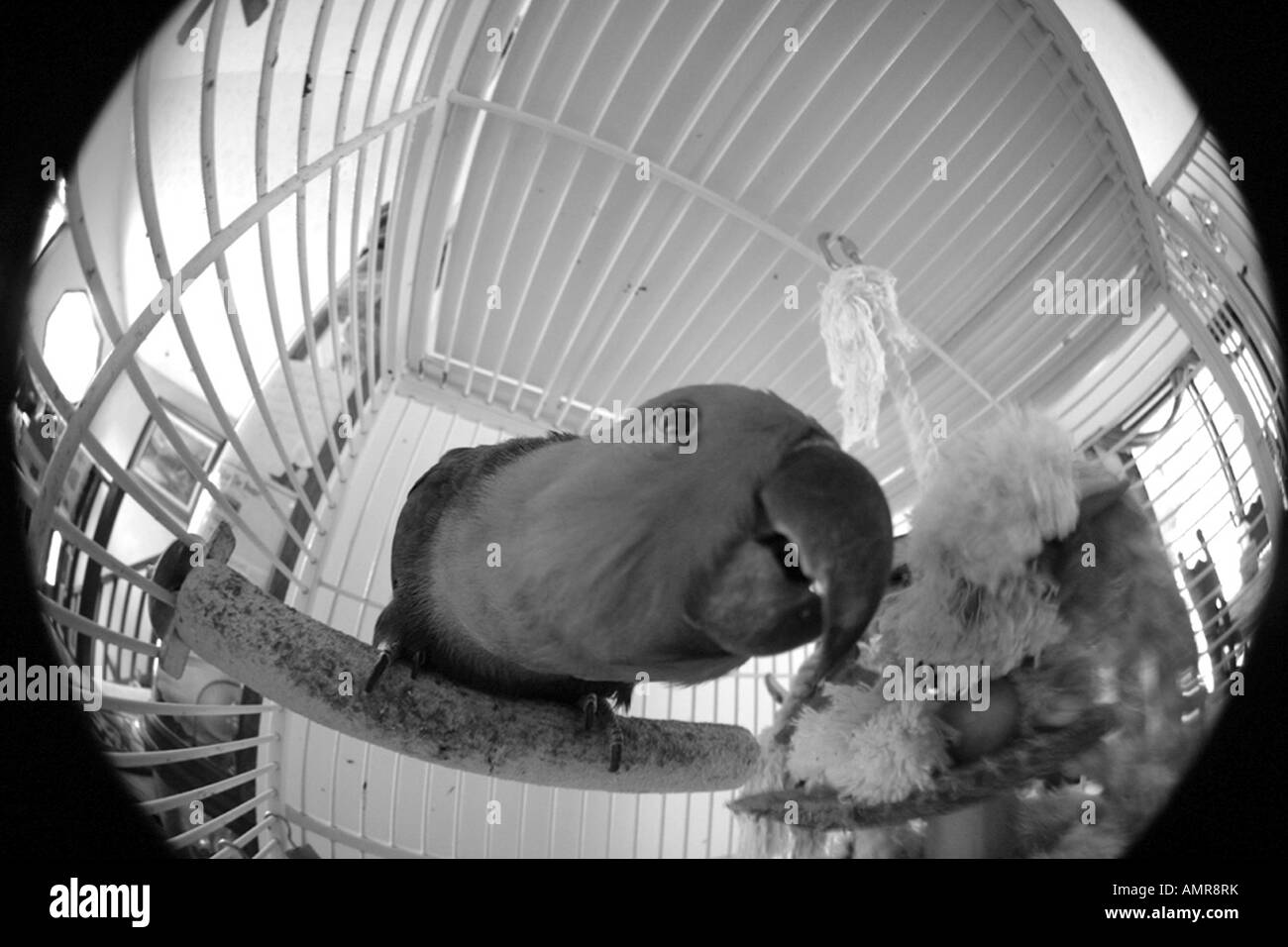 Birds Eye View Stock Photo - Alamy