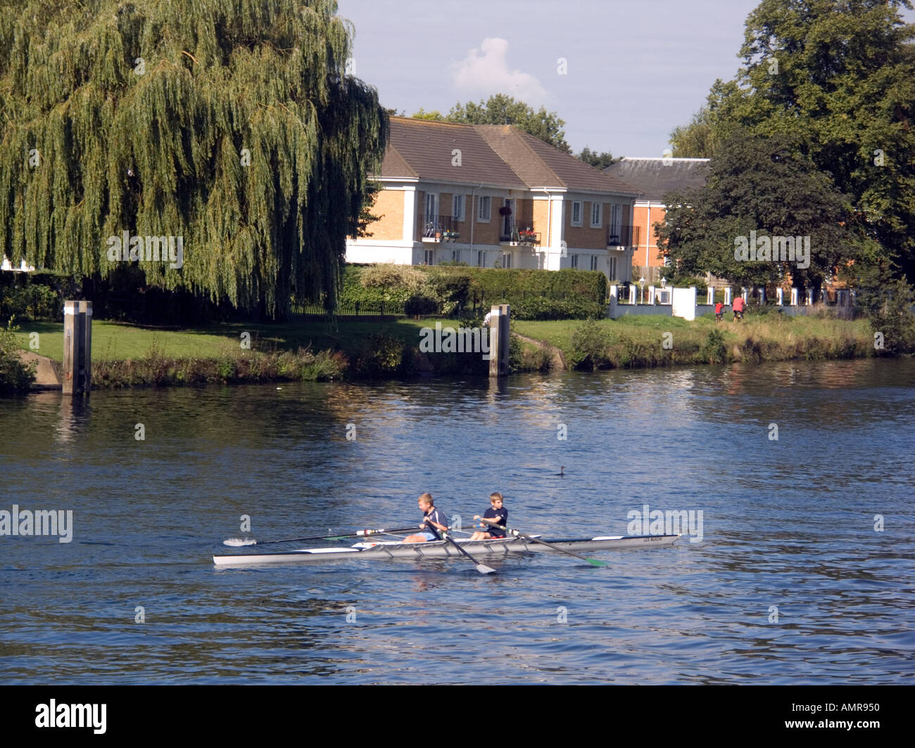 Racing Scull on the River Thames Staines Middlesex England GB UK Stock ...