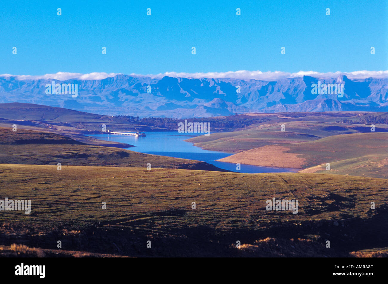 South Africa, Drakensberg, Free State, Sterkfontein Dam Nature Reserve ...