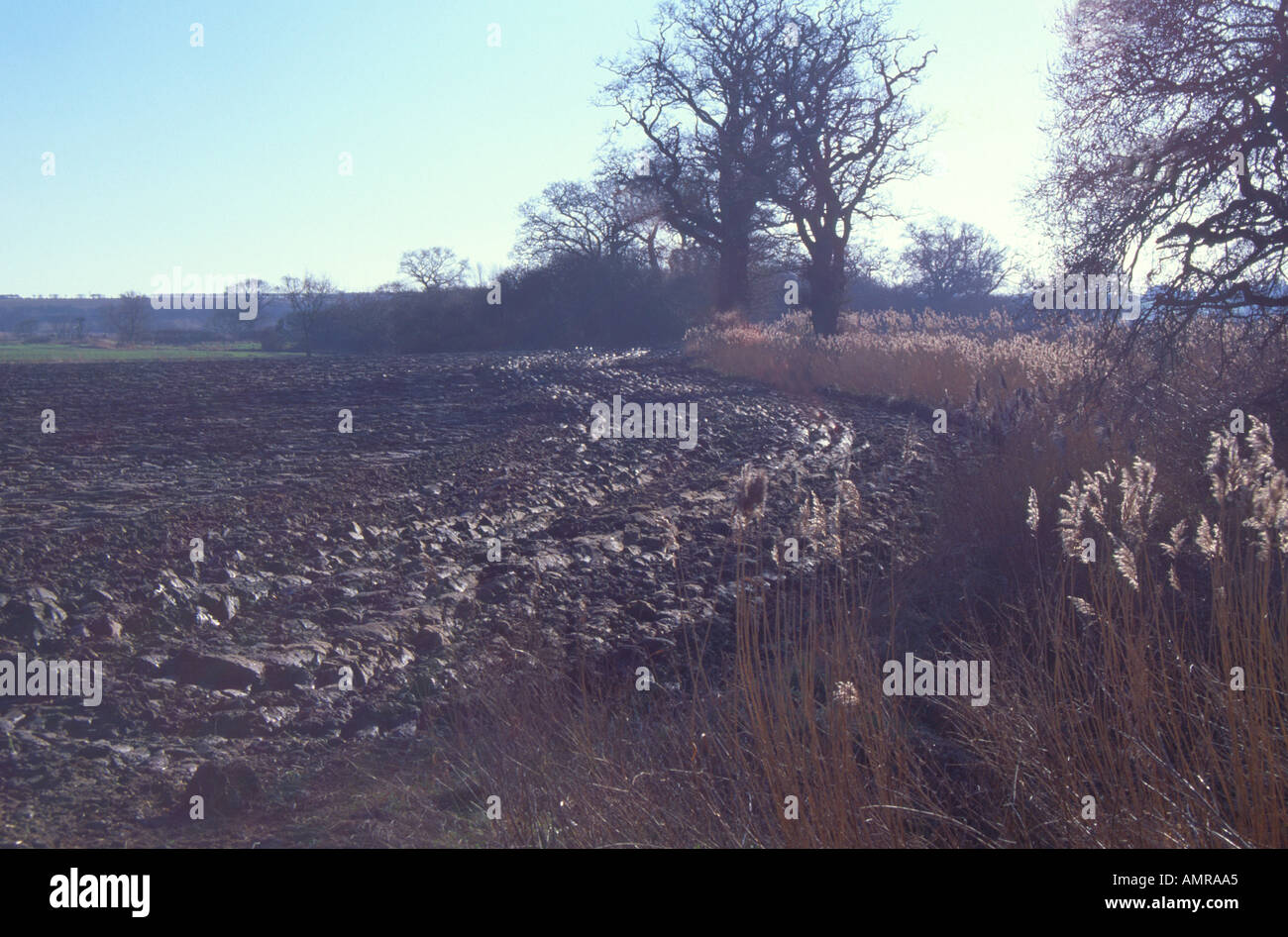 Muddy ploughed field Suffolk England Stock Photo - Alamy