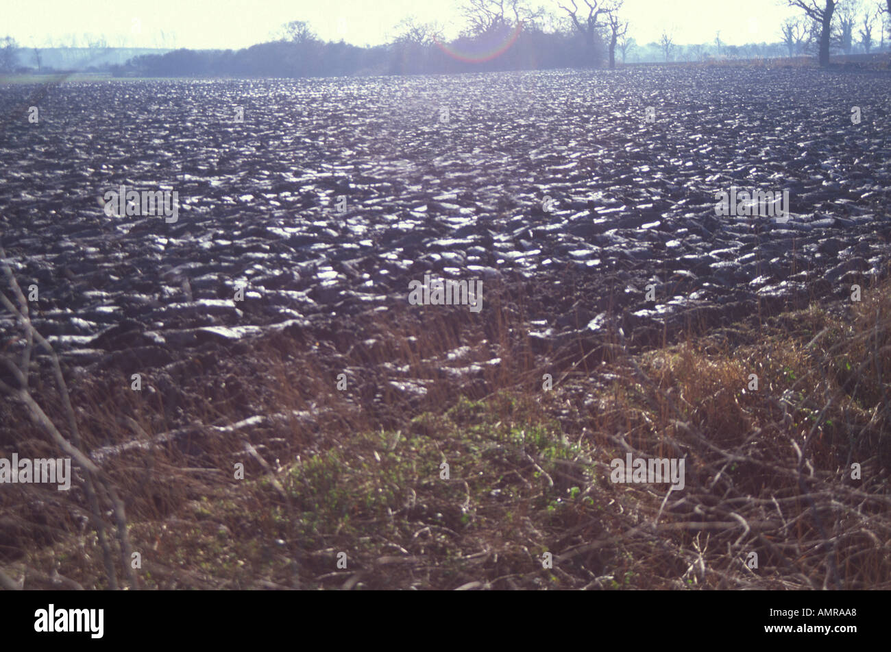 Muddy ploughed field Suffolk England lens flare Stock Photo - Alamy