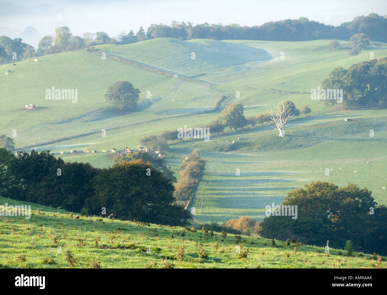 Tanat valley hi-res stock photography and images - Alamy