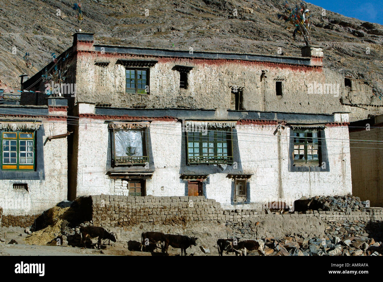 Traditional Tibetan building with white walls black window surrounds ...