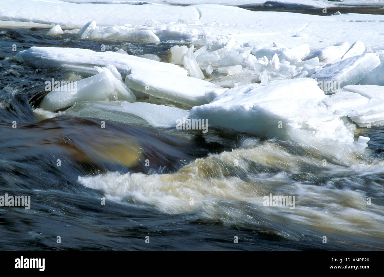 Germany, Black Forest, ice floe flowing with water Stock Photo - Alamy