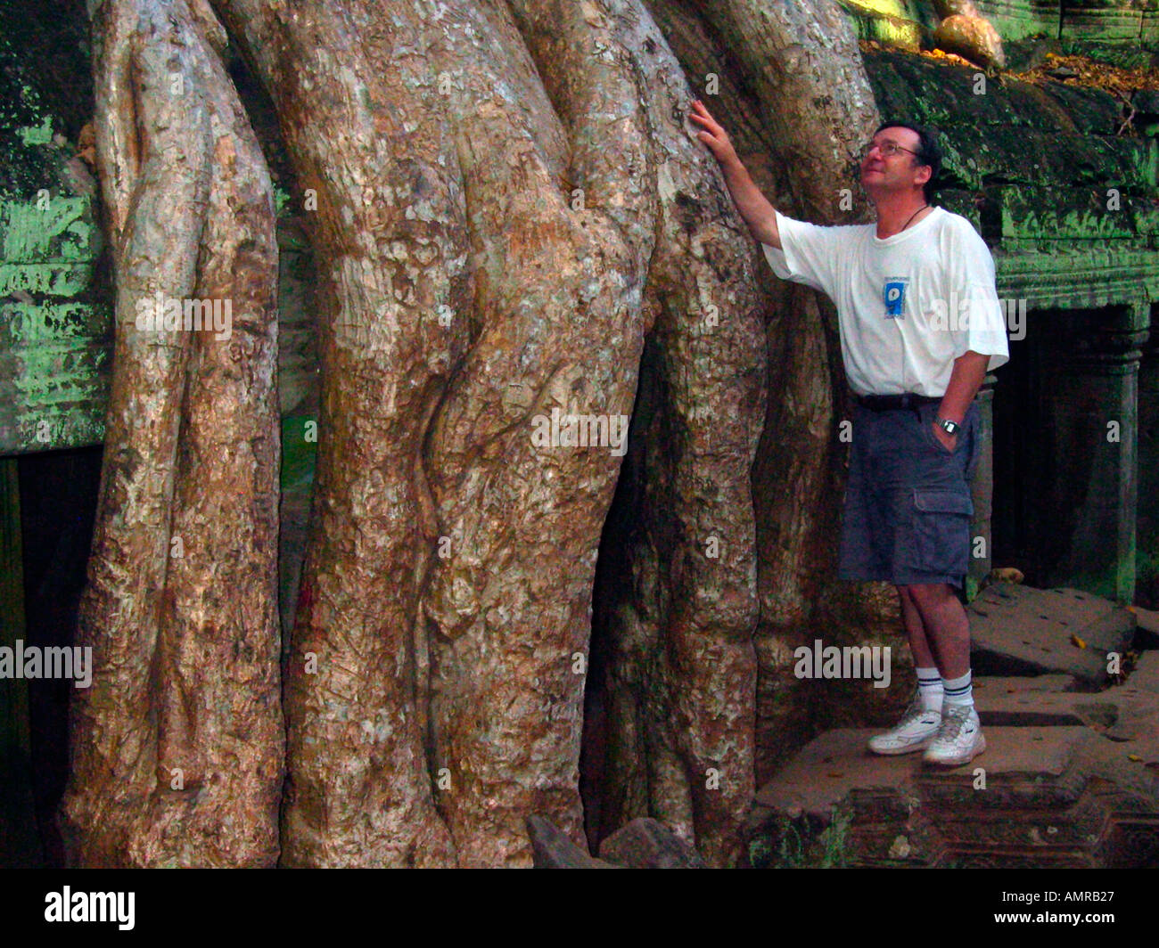 Tourist looks at giant tree roots creep over remains of unrestored Ta ...