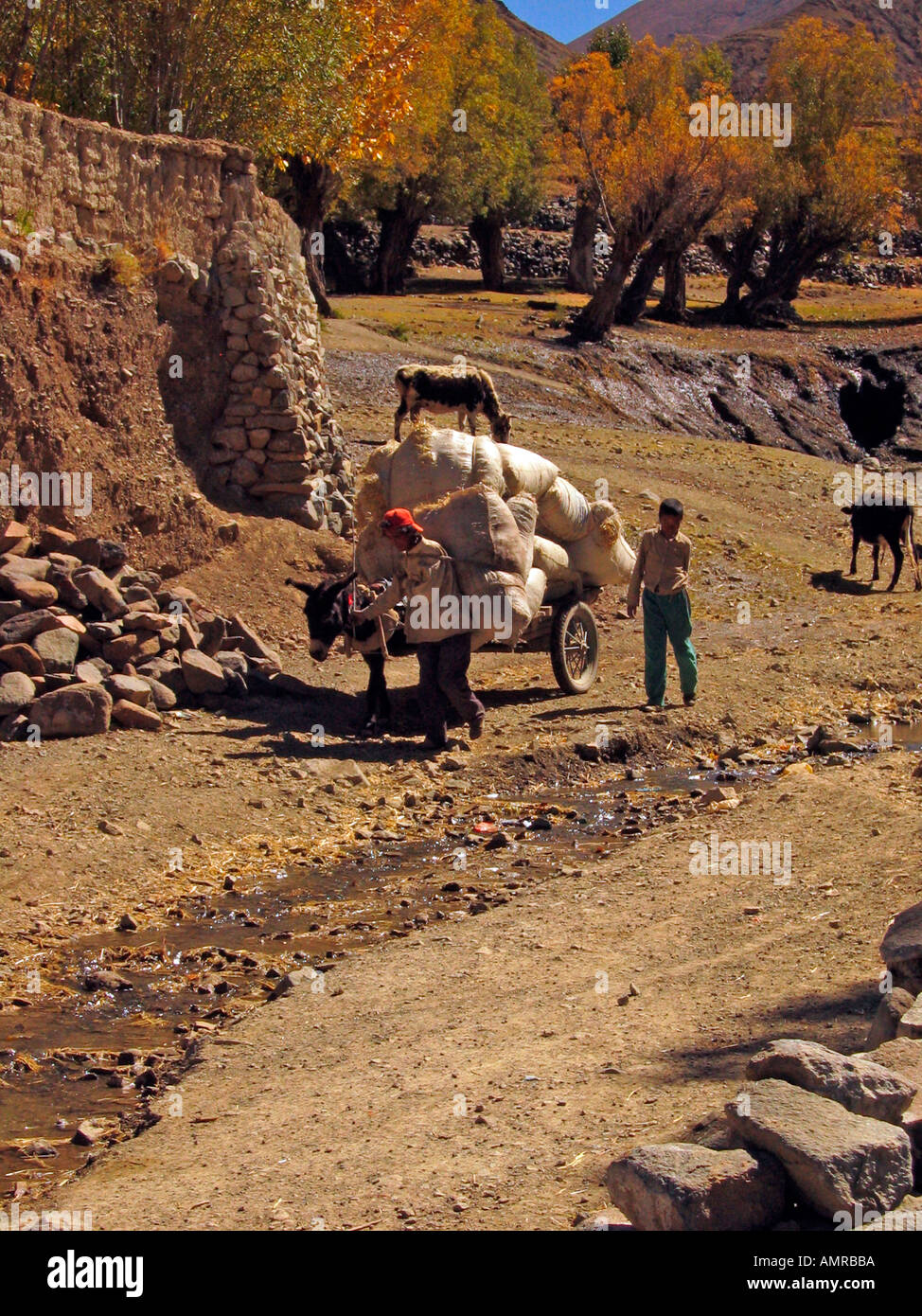 Sack carts hi-res stock photography and images - Alamy