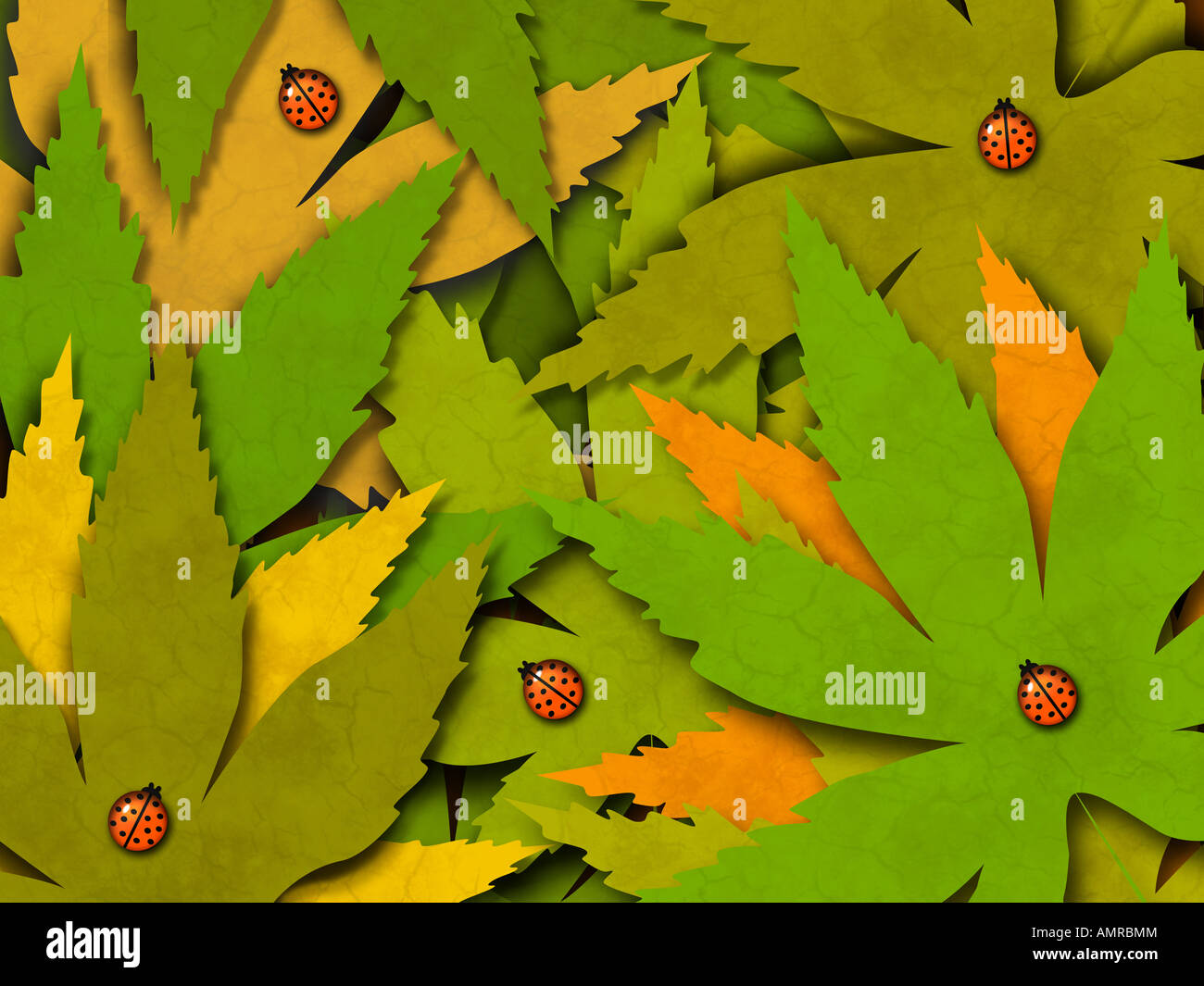 Representation of lady bugs on maple leaves Stock Photo - Alamy