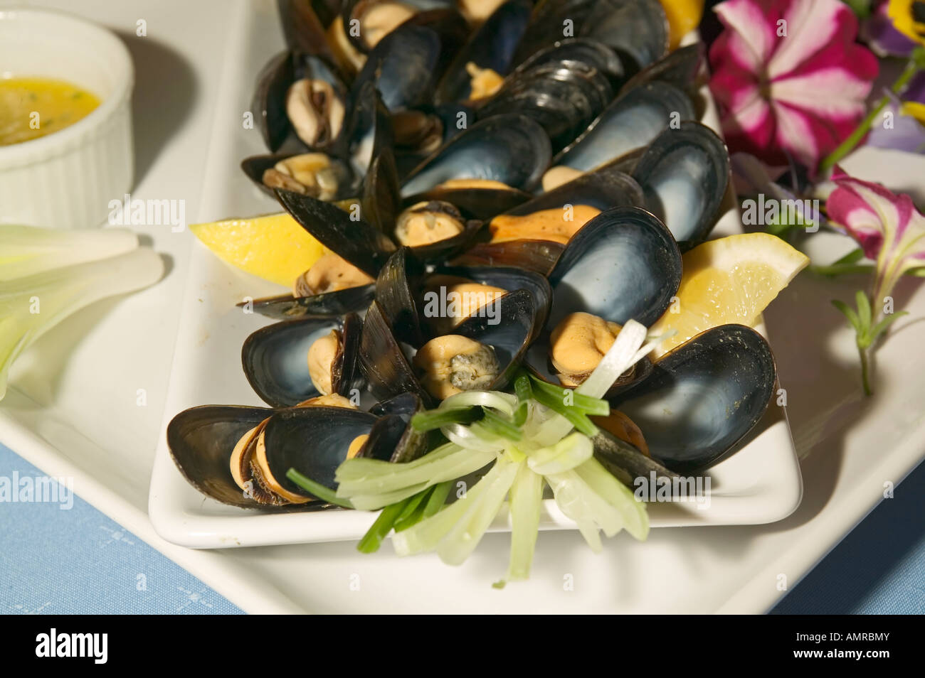 Canada, Newfoundland, Viking Trail, Main Brook, Tuckamore Lodge Stock ...