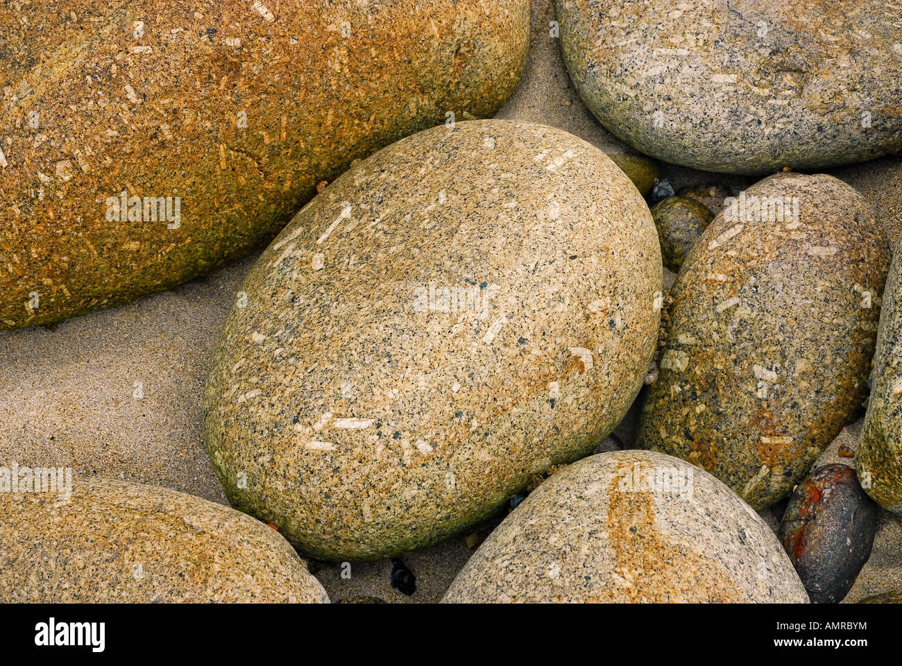 Detail of huge granite pebbles on a Cornish beach Stock Photo - Alamy