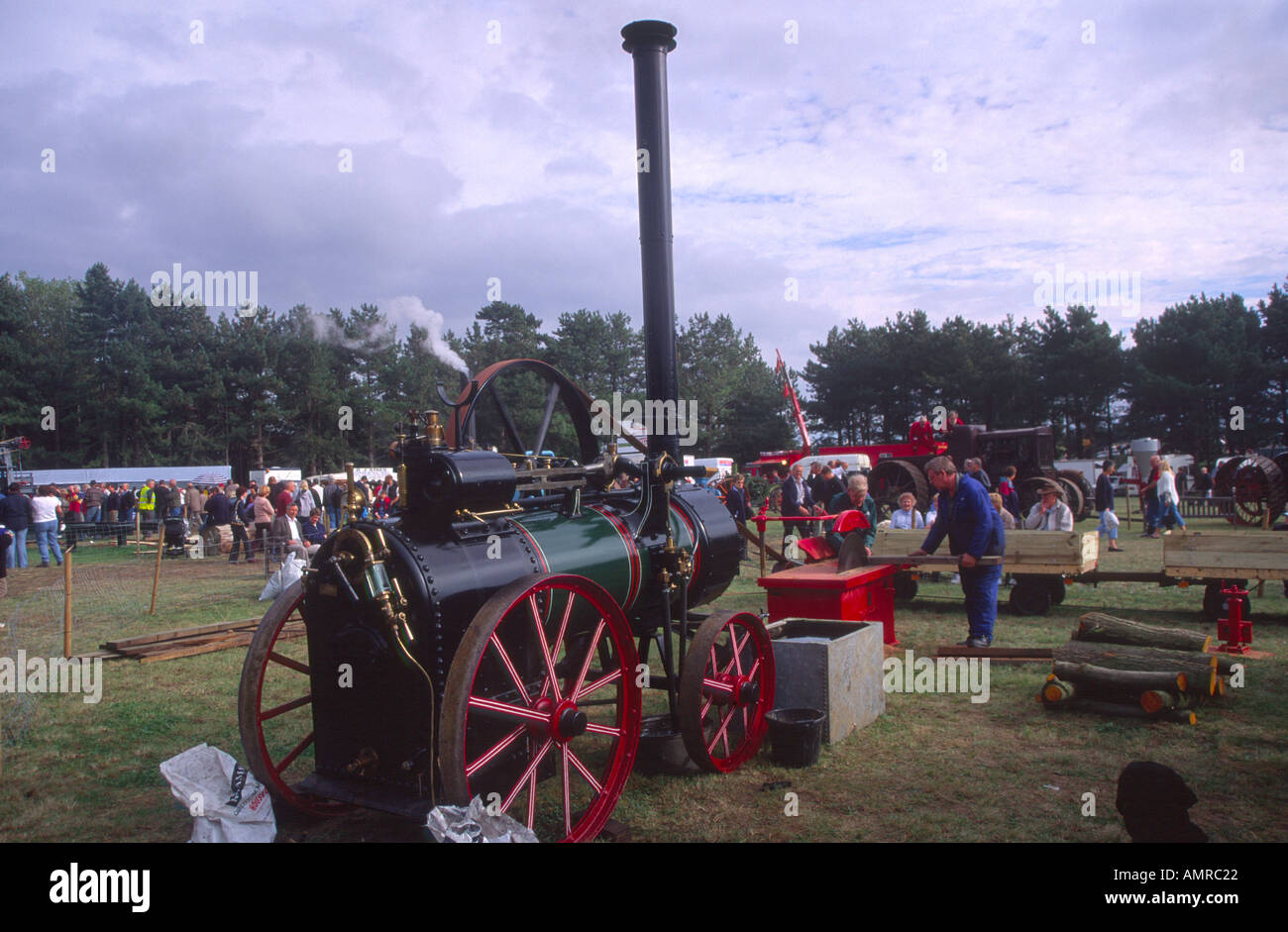 Traction engine working Stock Photo - Alamy