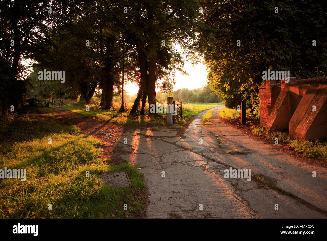 Ww2 concrete road hi-res stock photography and images - Alamy