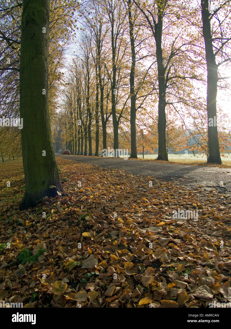 autumn at kings college cambridge Stock Photo - Alamy