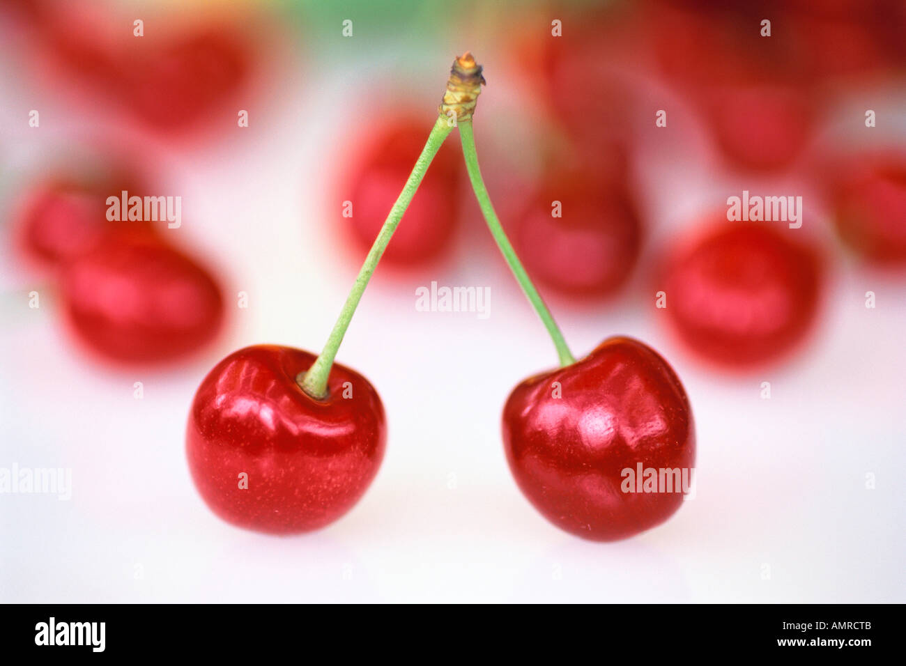Cherries lover hi-res stock photography and images - Alamy