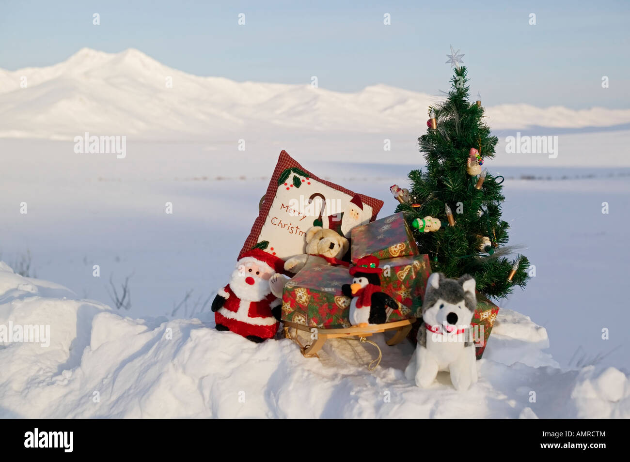Christmas tree daylight display hi-res stock photography and images - Alamy