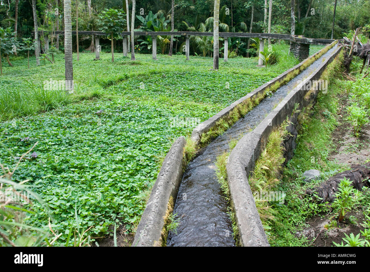 Irrigation Aquaduct Bali Indonesia Stock Photo - Alamy