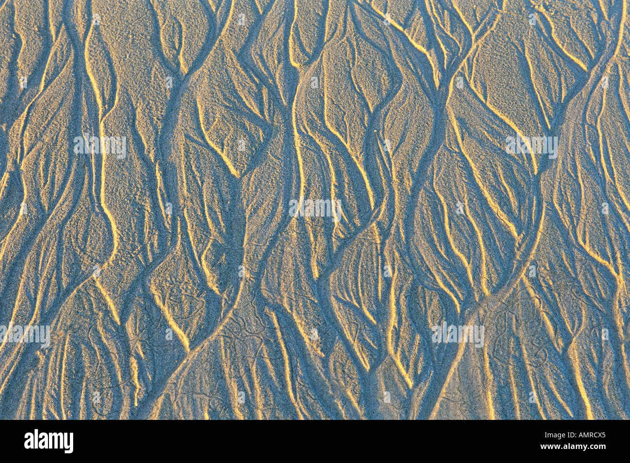 Pattern in Sand Stock Photo - Alamy