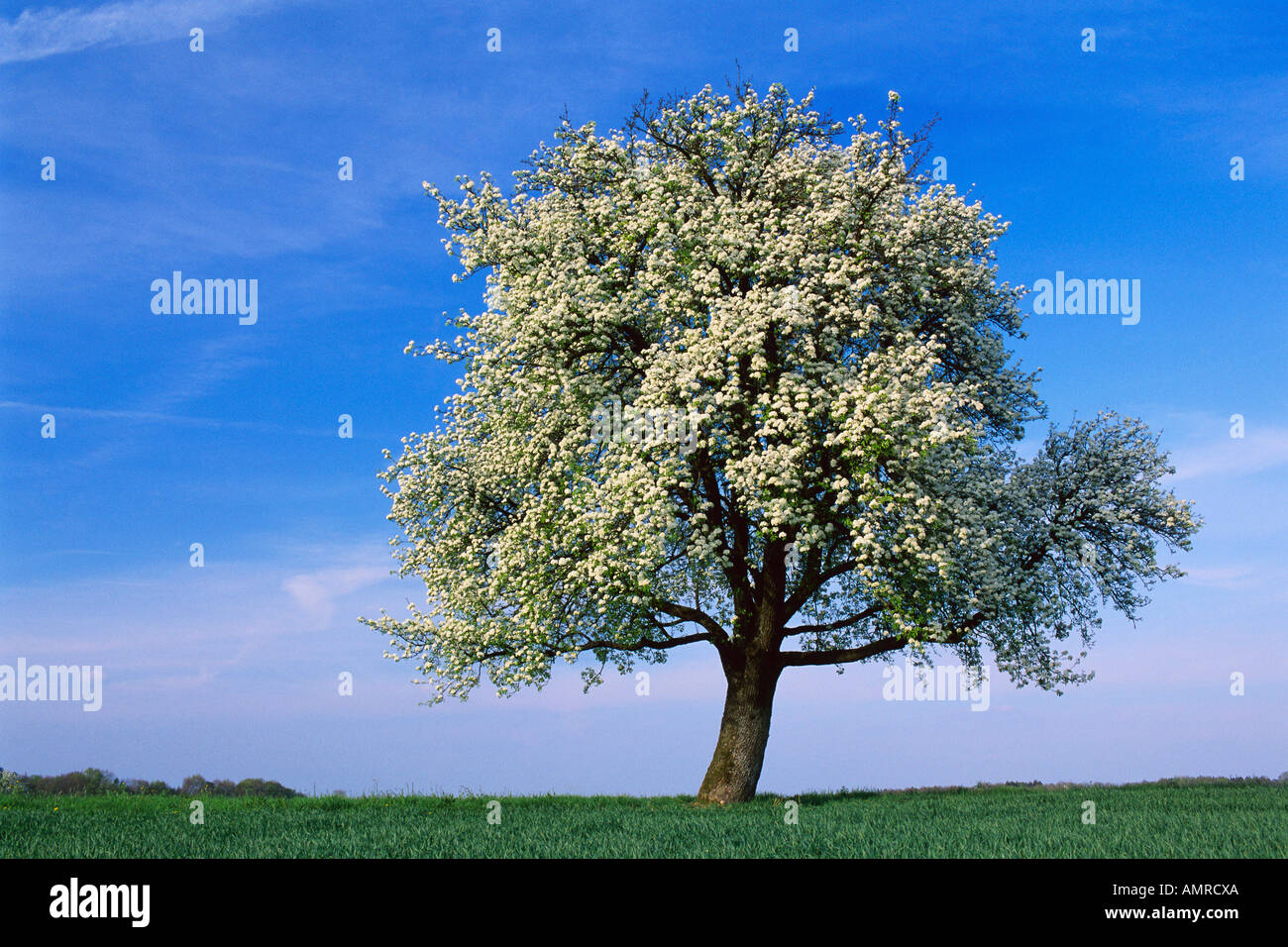 Blue isolated germany german federal hi-res stock photography and ...