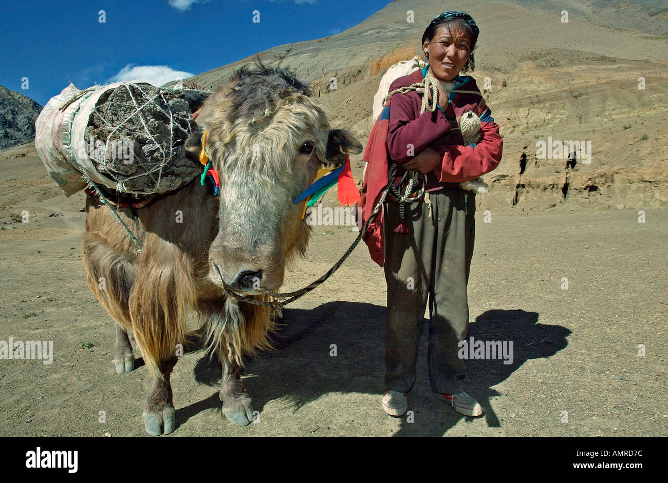 Yak skin hi-res stock photography and images - Alamy