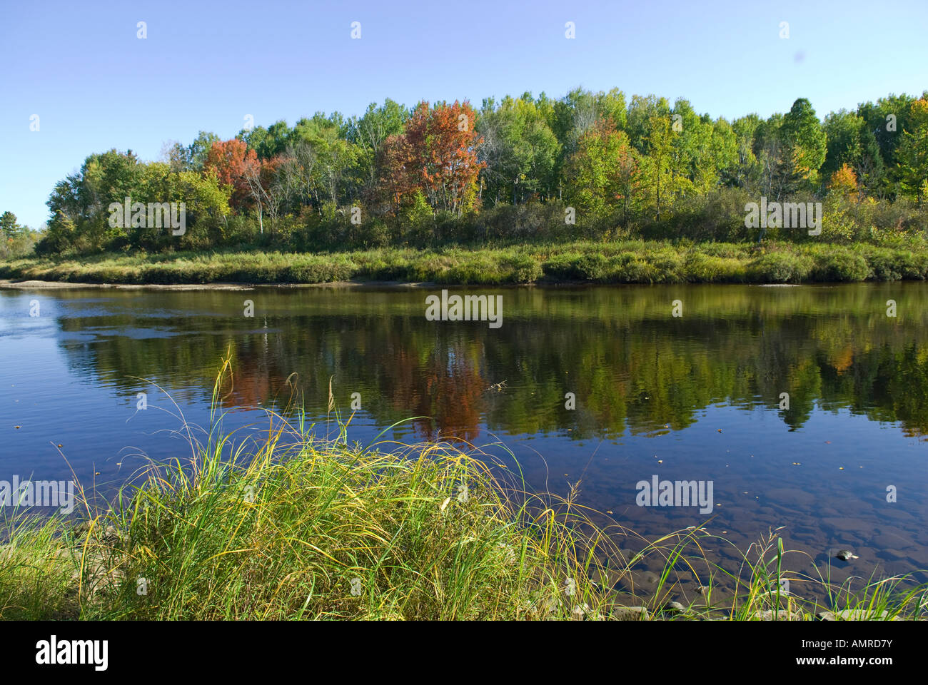 Miramichi fall hi-res stock photography and images - Alamy