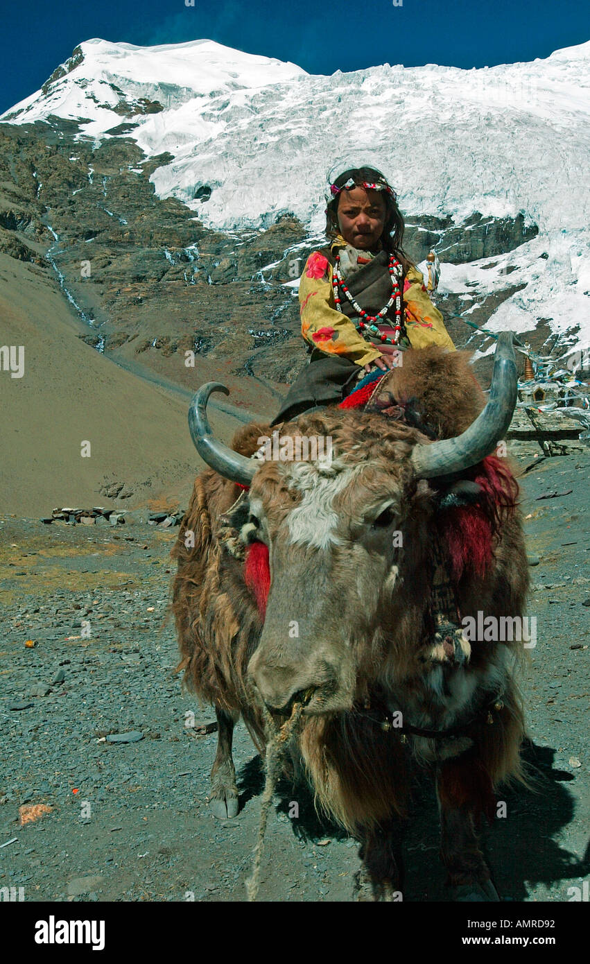 Young girl on a Tibetan yak Stock Photo - Alamy