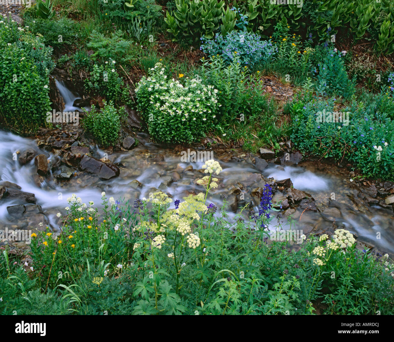 Yankee boy basin hi-res stock photography and images - Alamy