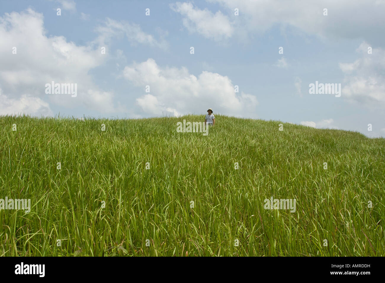 Individual alone hi-res stock photography and images - Alamy