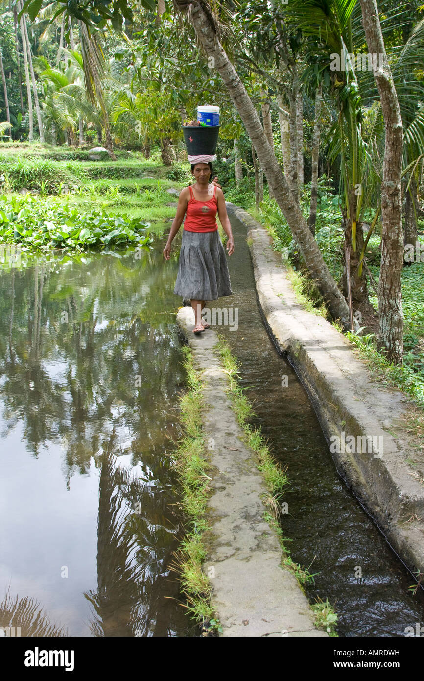 Walking irrigation hi-res stock photography and images - Alamy
