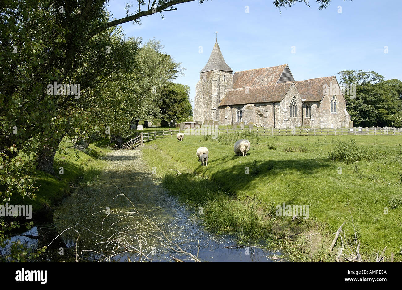 Old Romney Church and sheep Kent England Stock Photo - Alamy
