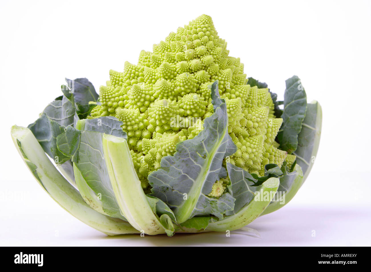 Calibrese hi-res stock photography and images - Alamy