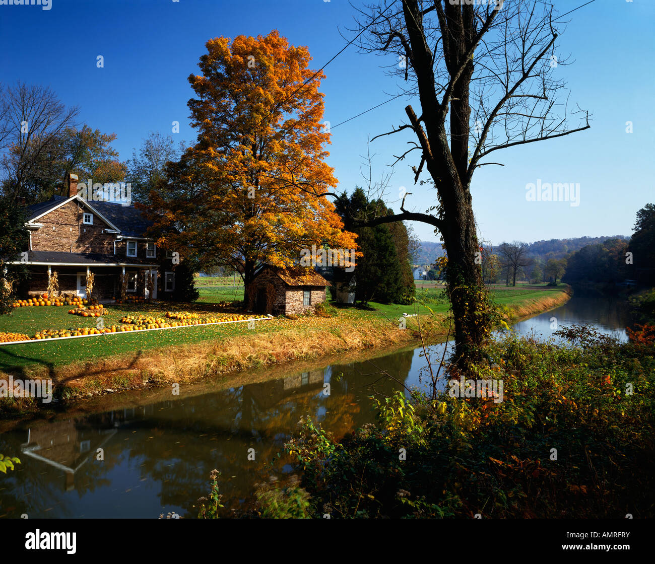 Fall Foliage Pumpkins And An Old Stone Farmhouse Circa 1784 Trauger ...
