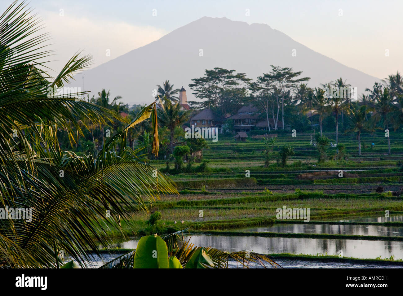 Rice Terrace Field Gunung Agung Volcano Ubud Bali Indonesia Stock Photo ...