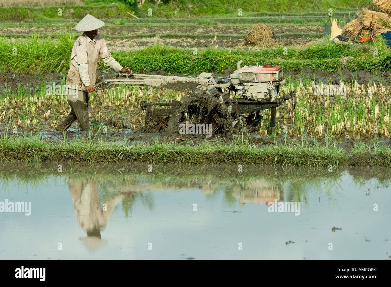 Rice farming tractor hi-res stock photography and images - Alamy