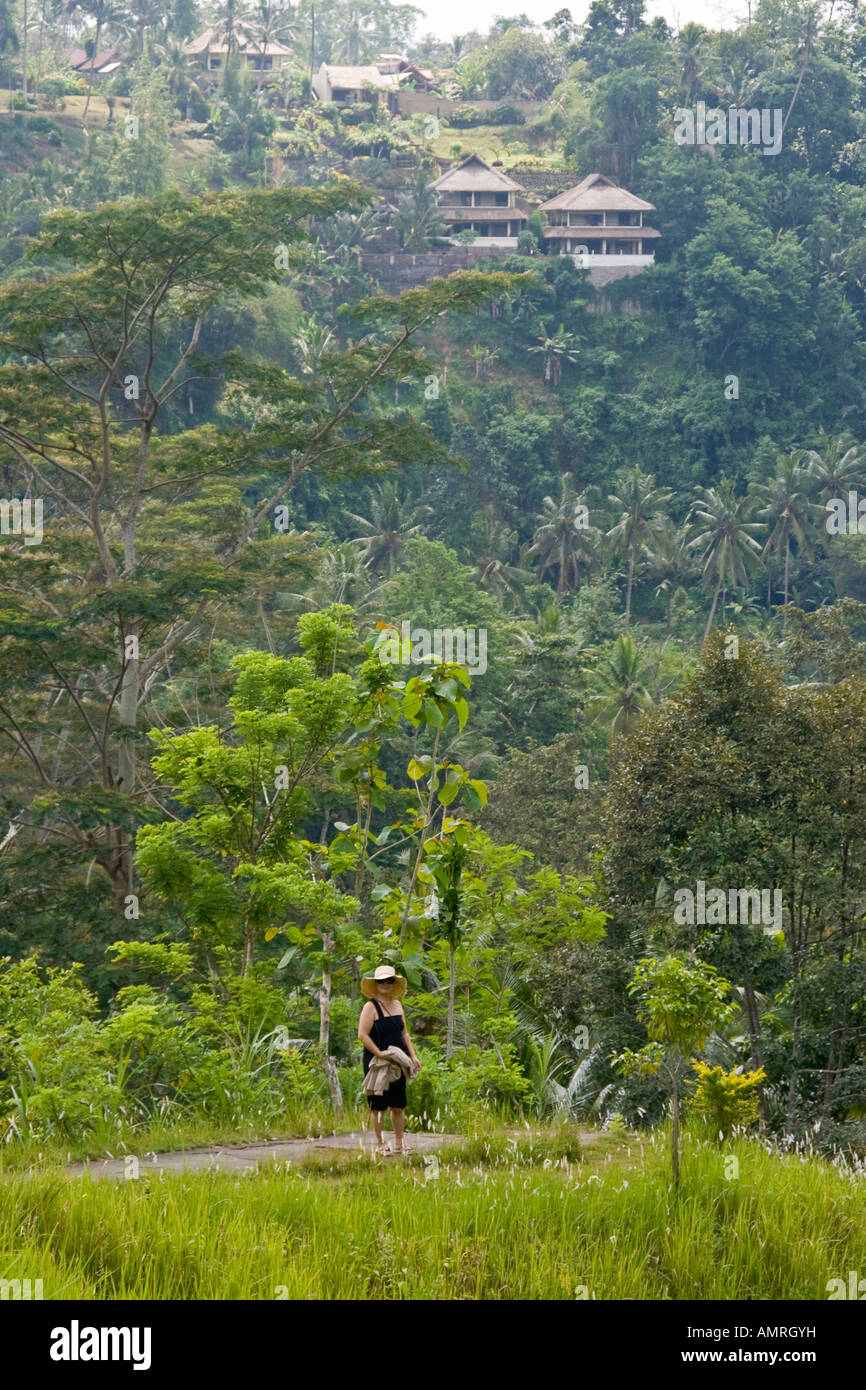 Korean American Tourist Hiking in Ubud Jungle Bali Indonesia Stock ...
