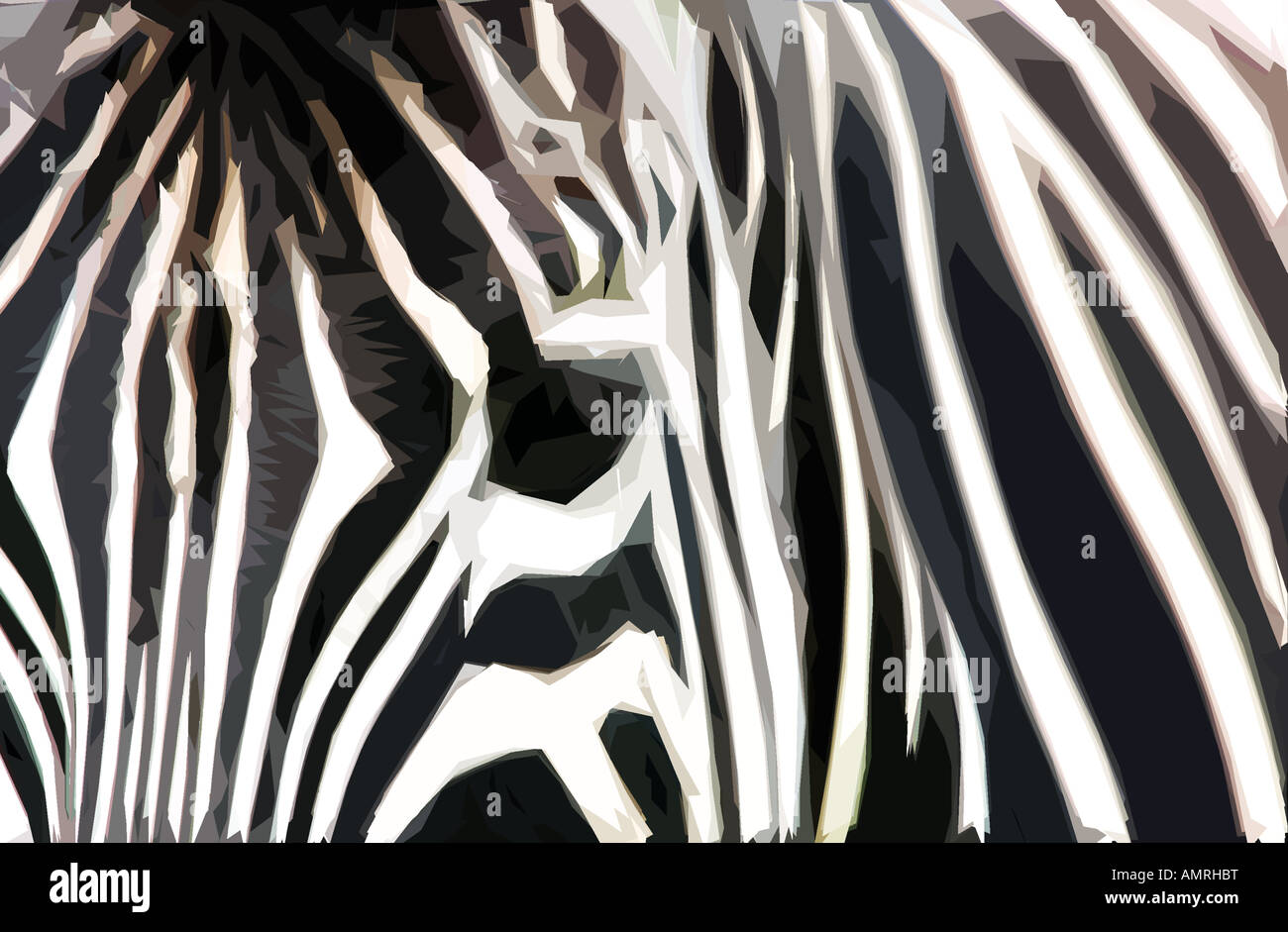 Zebras stripes photo illustration Stock Photo - Alamy