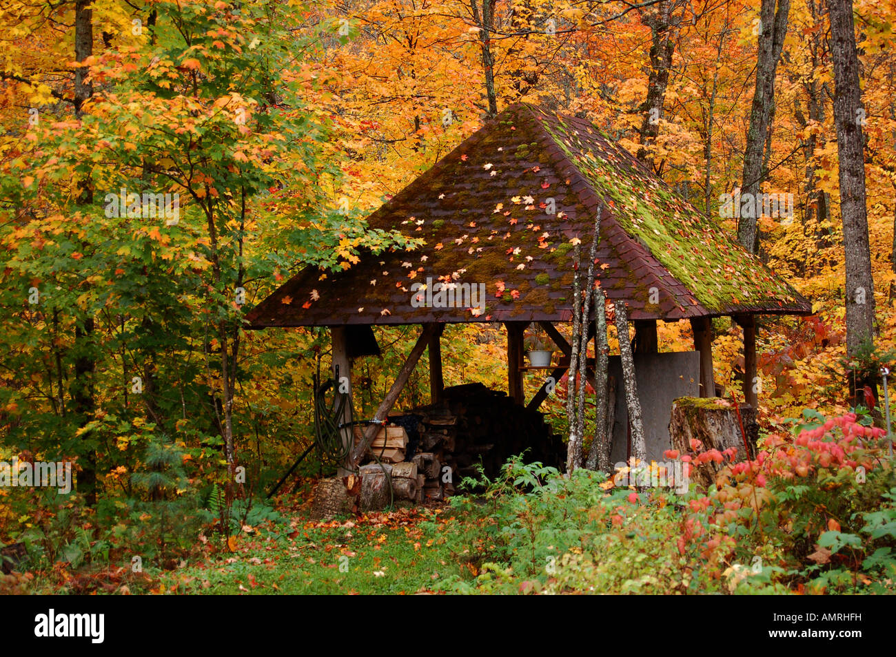 Wood shed in Autumn Stock Photo - Alamy