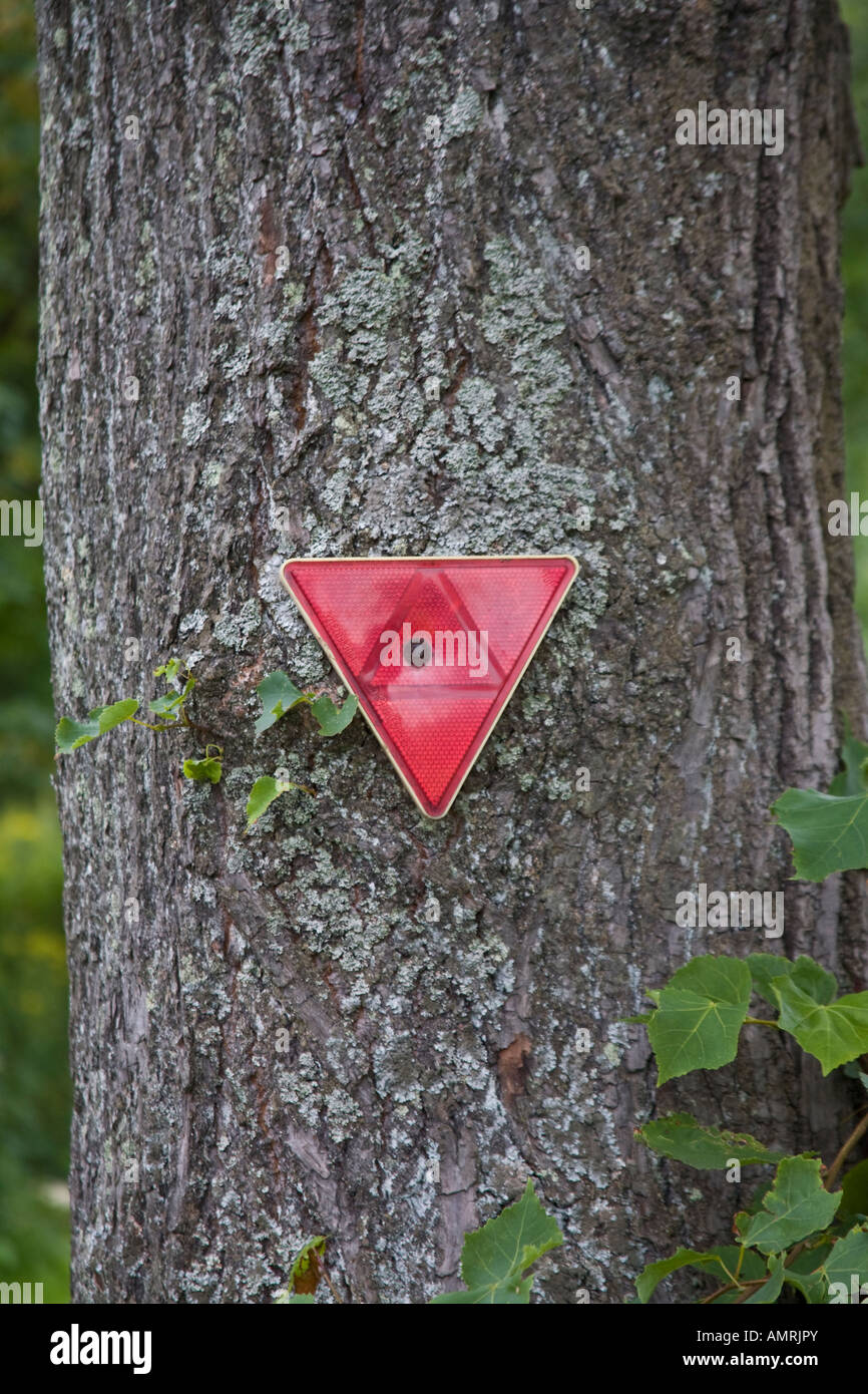 A triangular reflector on a tree in Eastern Bohemia Czech Republic ...