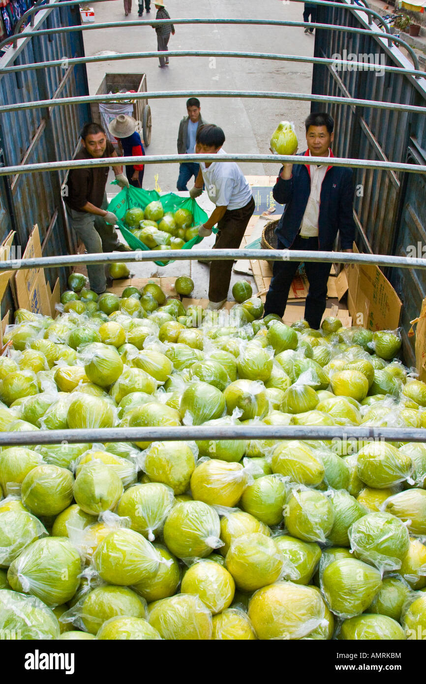 Men Loading a Truck with Pomelo Fruit Xiding China Stock Photo - Alamy