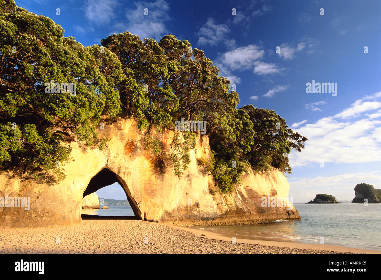 Cathedral Cove