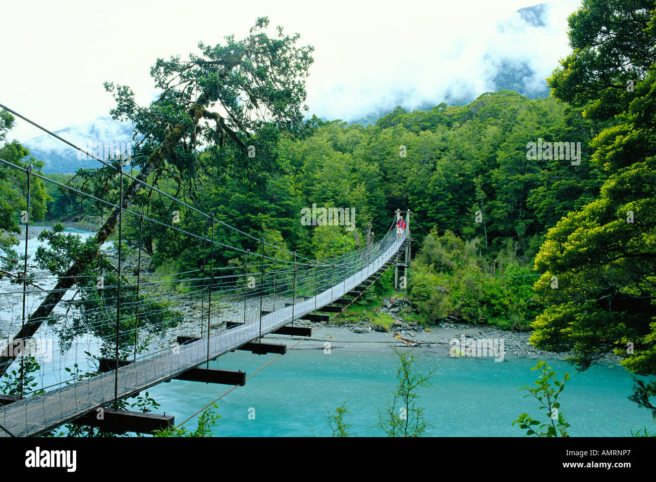 Bridge into Forest Mt Aspiring National Park, South Island, New Zealand ...