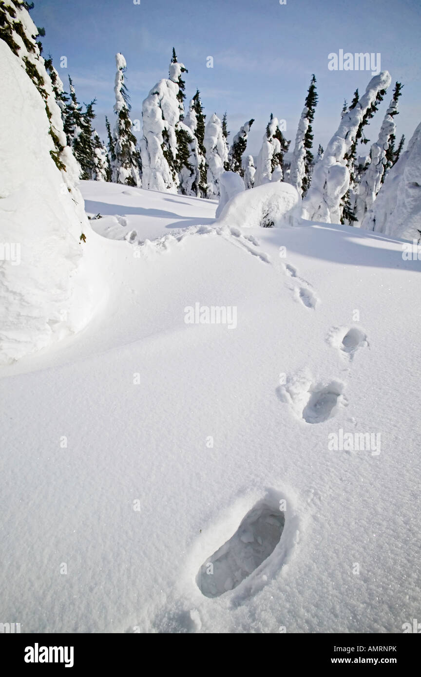 Highways covered with snow hi-res stock photography and images - Alamy