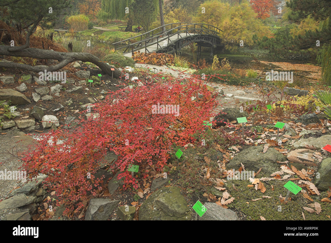 Botanical Garden in autumn Wroclaw Poland Stock Photo - Alamy
